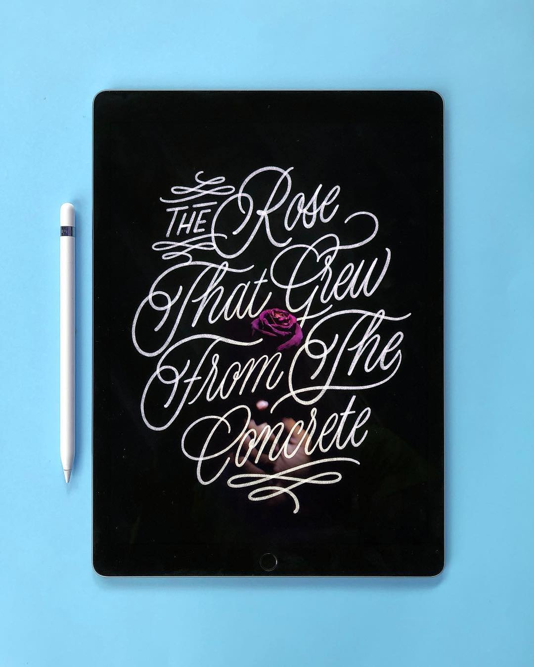 Lettering Inspo #8 - Type Gang